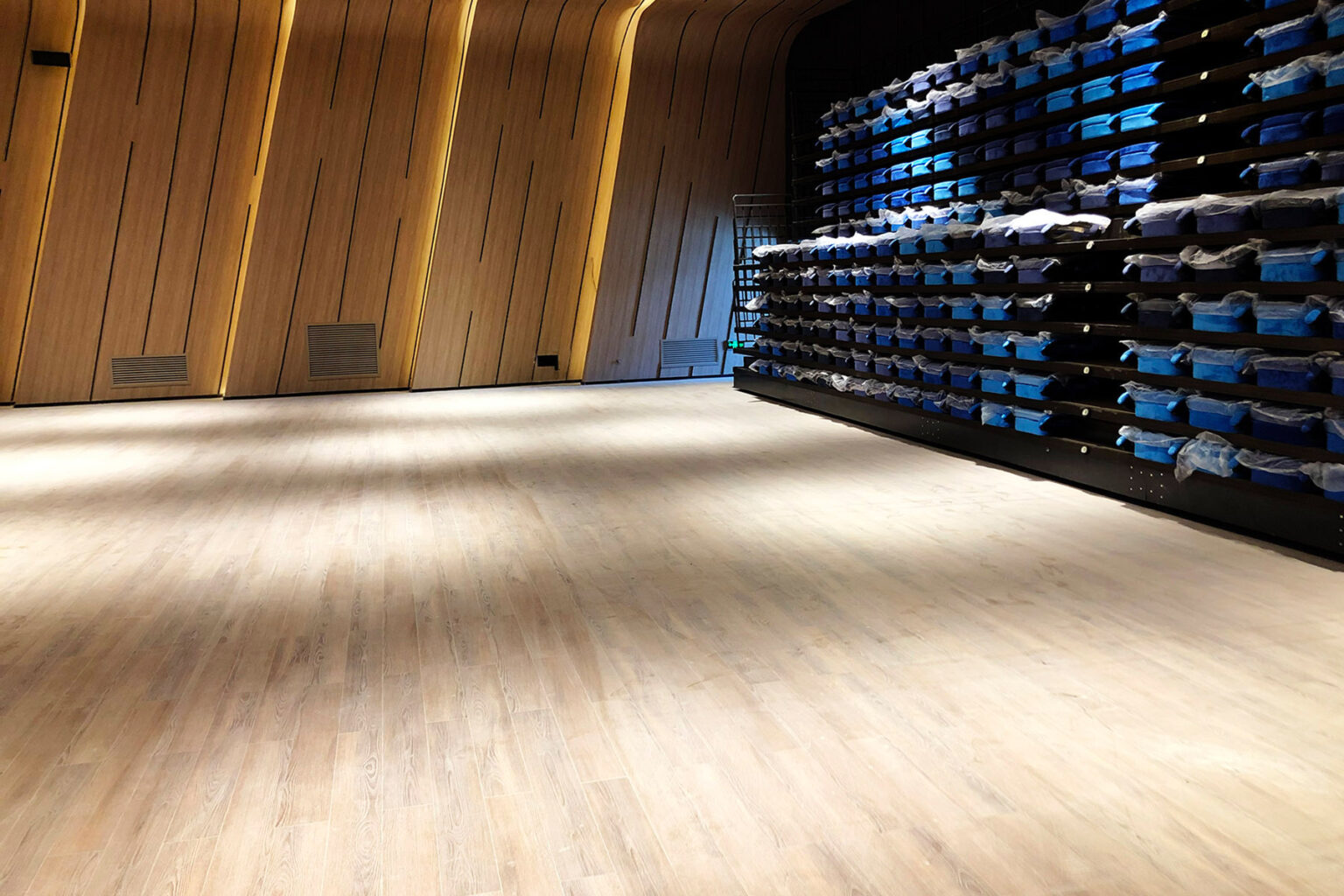 DSGN IWH Building Auditorium - AVA Flooring
